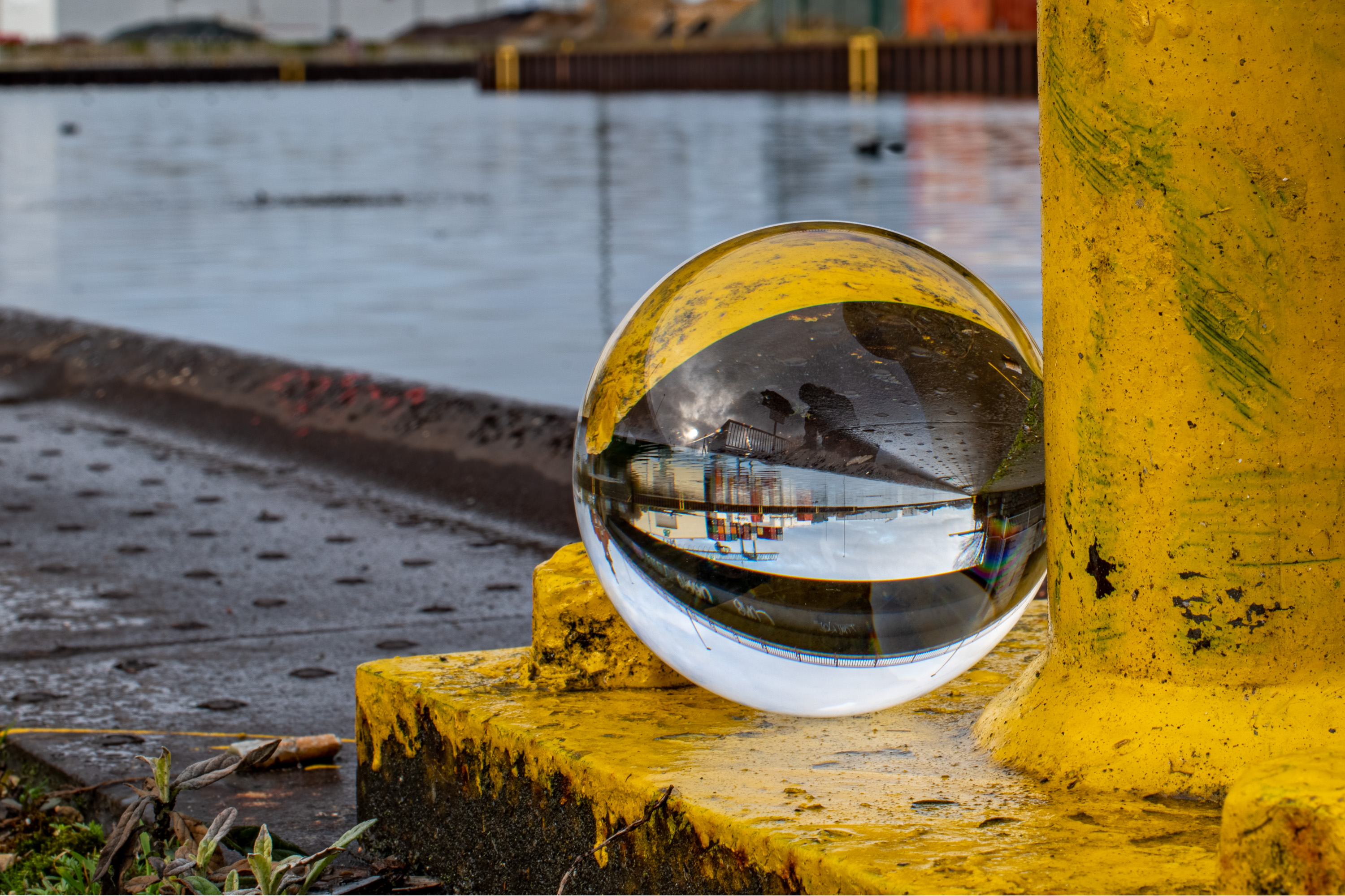 Crystal Ball | Capturing Beauty